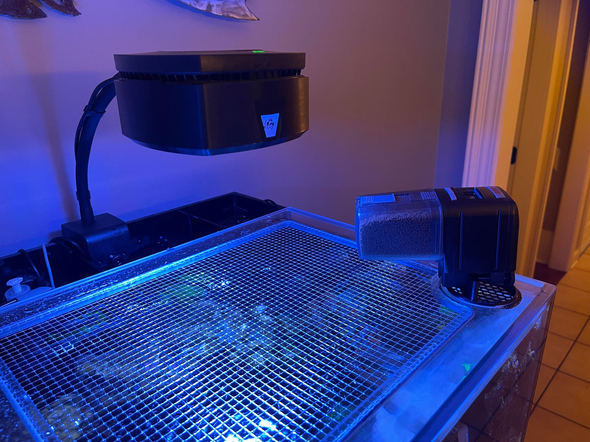 Basic Auto Feeder Adapter (Requires Premium Feed Lid)