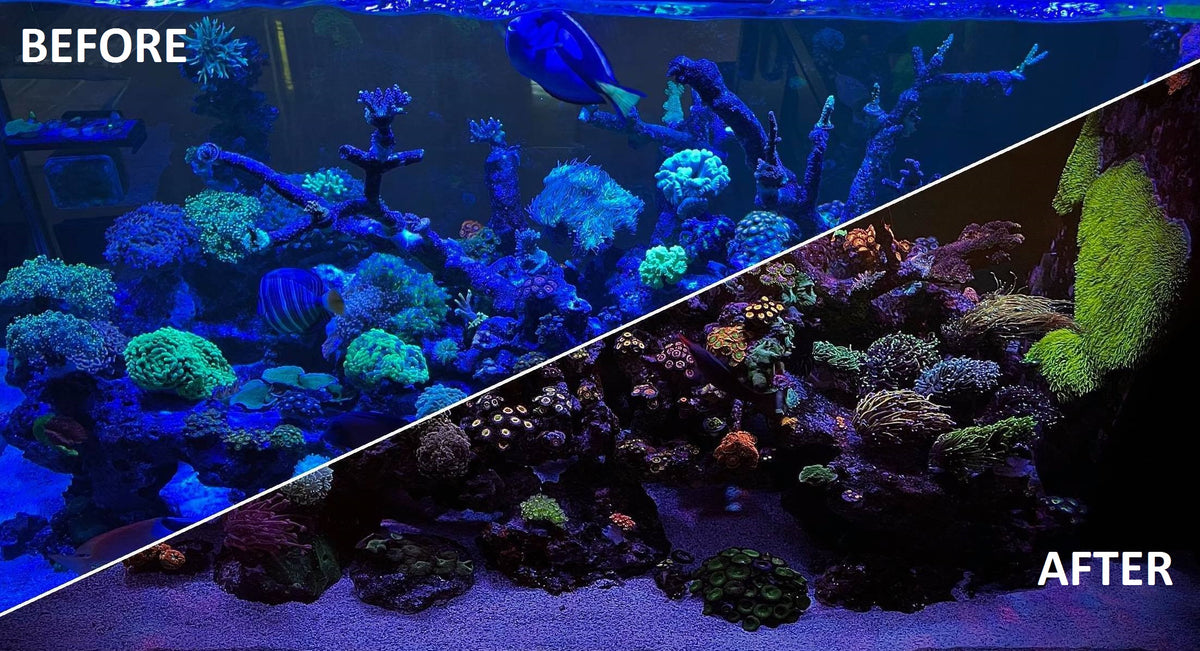 Kraken Reef® | Premium Rimless Aquarium Lids