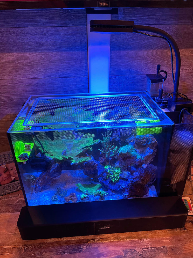 Fluval EVO 13.5 Lid